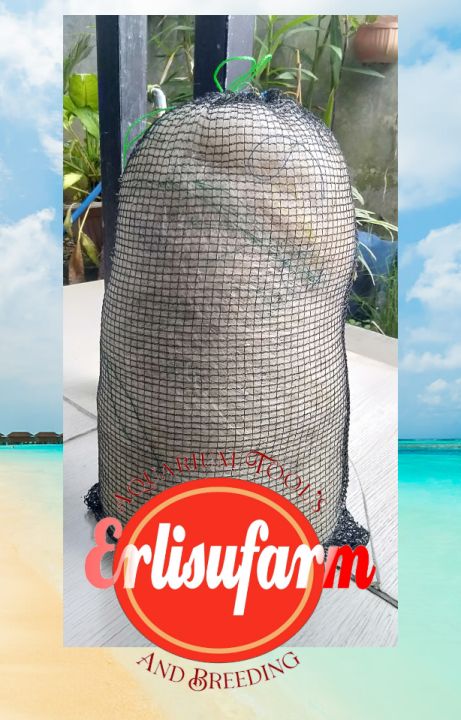 Jaring Nelayan Media Filter Kolam Koi - 500Gram | Lazada Indonesia