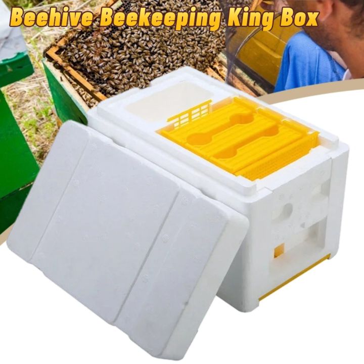Bee Hive Foam Beekeeping Box King Beehive Garden Bee Keeping Bee Tool ...
