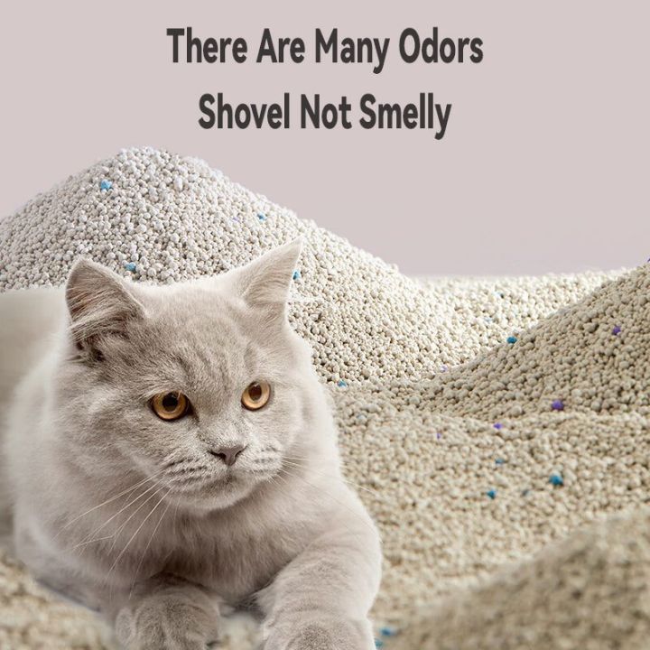 10kg Natural Bentonite Cat Litter Sand Biodegradable Fast Clumping ...