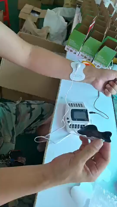 Alat Terapi Pijat Elektrik / Tens Fisioterapi / Alat Fisioterapi ...