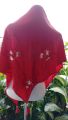 Kerudung segitiga instan, bahan jersey, warna merah cabe, ada variasi ...