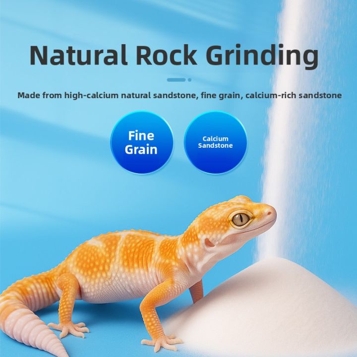 Climbing Pet Substrate Calcium Sand for Geckos, Scorpions, Turtles ...