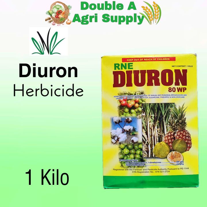 Diuron 80 WP Herbicide (Pamatay Damo ng Pinya, atbp) | Lazada PH