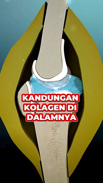 Gamamilk Premium Nutrisi Lengkap untuk Kulit Sehat dan Bugar dari Dalam ...