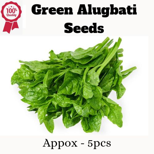 Green Alugbati ( 5 Seeds ) - 1pack | Lazada PH