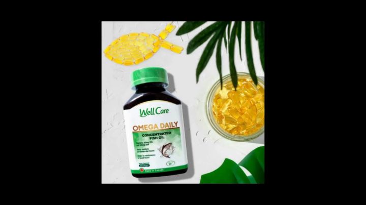Dầu Cá OMEGA Daily Wellcare 1 viên mỗi ngày bổ sung DHA/ EPA hỗ trợ cho ...