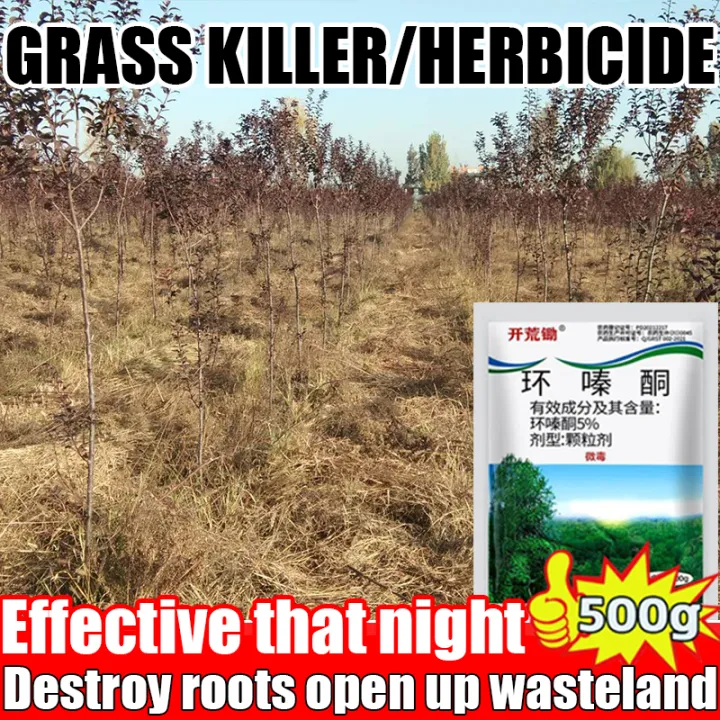 3 seconds to remove big trees🌿 herbicide to kill tree grass weed killer ...