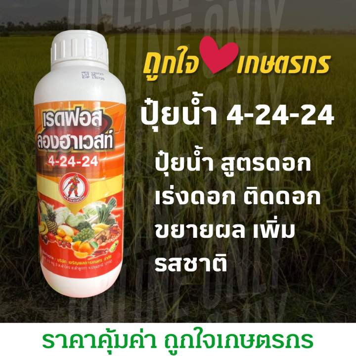 ปุ๋ยน้ำ 4-24-24 ตราเห้งเจีย สะสมอาหาร สร้างตาดอก ใบเขียวเข้มสมบูรณ์ ...