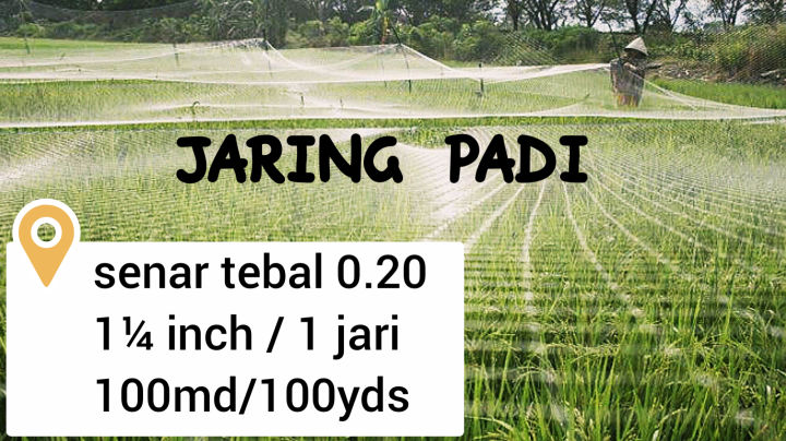 jaring sawah lubang 1 jari senar tebal 0.20 lebih awet jaring padi ...