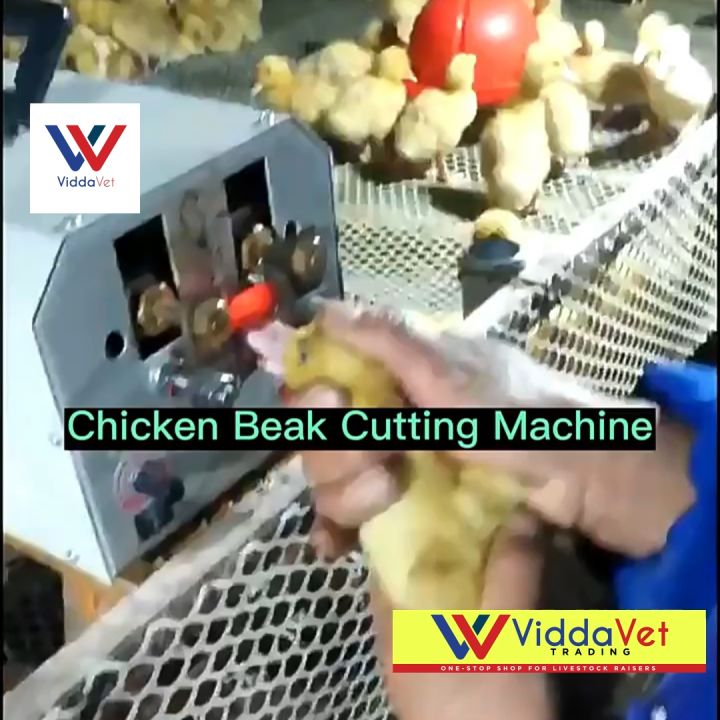 Automatic Electric Chicken Debeaking Machine Chicken Debeaker Chicken ...