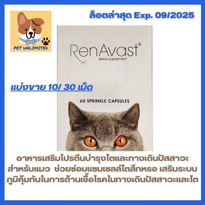 RenAvast Cat อาหารเสริมบำรุงไตสำหรับแมว | Lazada.co.th