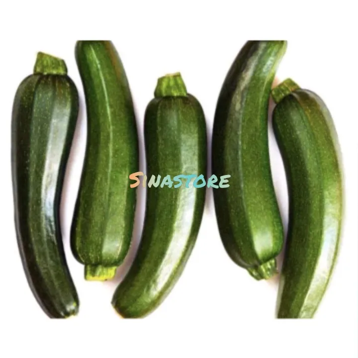 zucchini/timun sukini/1kg | Lazada Indonesia