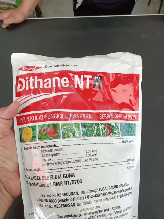 Dithane NT 1kg racun kulat utk penyakit Antraknos pada timun, tembikai, cili | Lazada