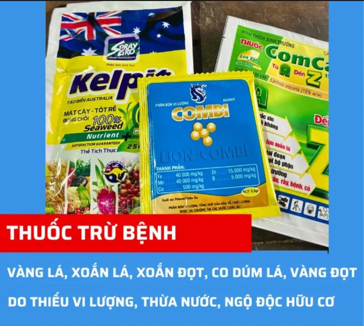 Thuốc trừ bệnh vàng đọt xoắn đọt vàng lá co dúm lá vàng lùng xoắn lá do ...