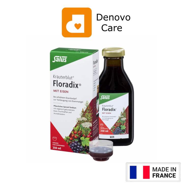 Salus Floradix Iron Liquid Herbal Extract Vitamin Formula 500ml 德国经典铁元 ...