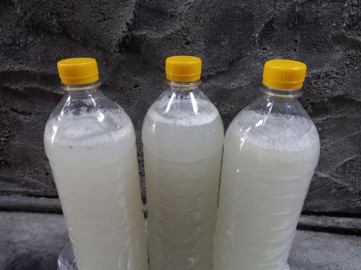 paketan minuman tradisional tuak | Lazada Indonesia