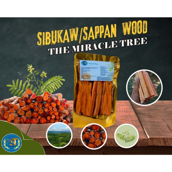 SIBUKAW Meracle Tree (25stick) | Lazada PH