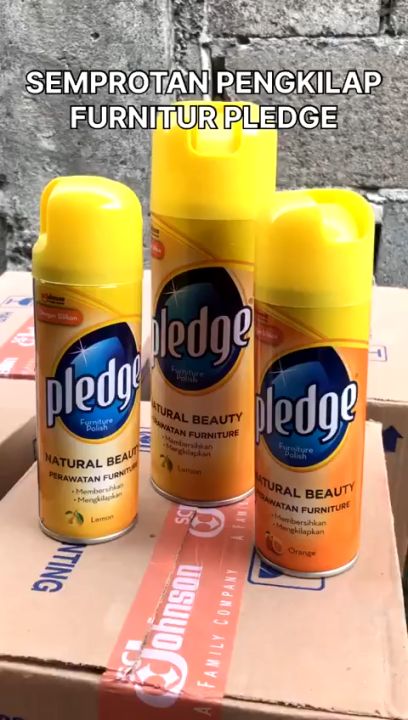 Pledge Aerosol Lemon / Orange Pembersih Mebel Kayu Stainless Granit ...