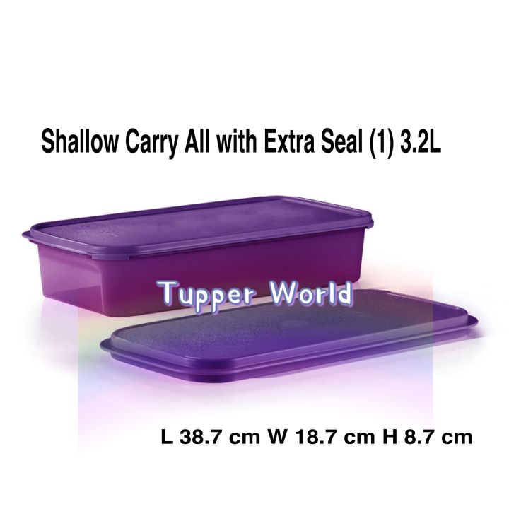 Tupperware Shallow Carry All with Extra Seal (1) 3.2L | Lazada
