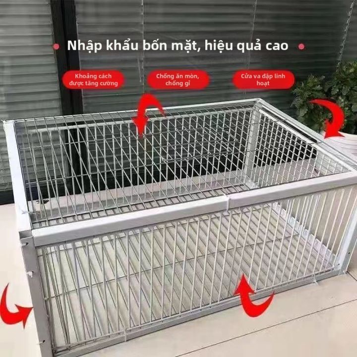 Bẫy Chú Chim Bồ Câu Tự Động Dùng Tại Nhà | Lazada.vn