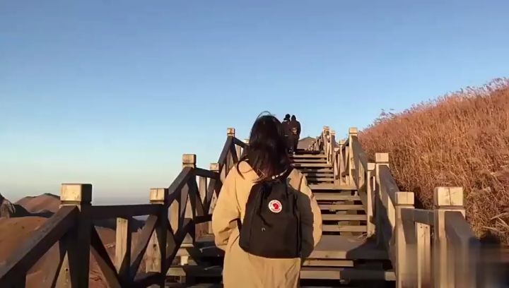 KK Backpack / Classic and Mini / School Bag / Backpack / Waterproof ...