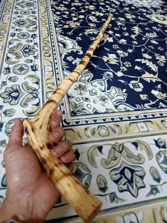 tongkat kayu semantun | Lazada