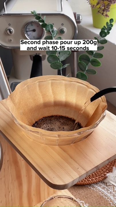 Giselle Hand Pour Over Manual Brew & Drip Glass / Stainless Steel ...