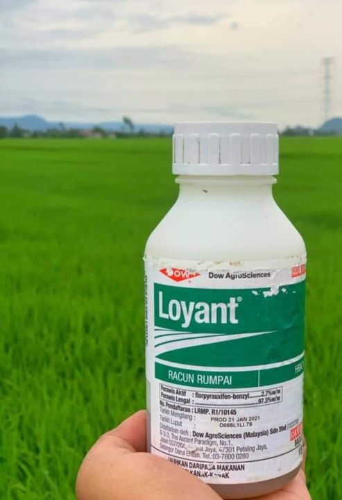 Loyant (racun rumpai 500ML) | Lazada