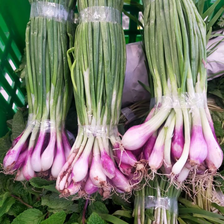 Kenali Jenis Daun Bawang, Mesti Ramai Yang Tak Tahu