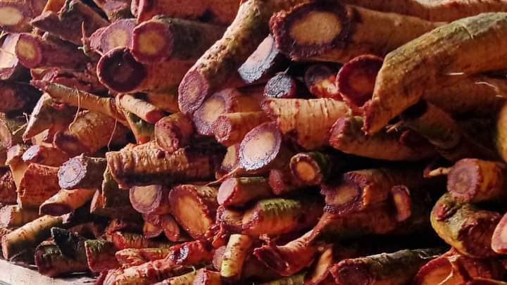 100% pure and FRESH RED ALINGATONG ROOTS HERBAL TEA CHOPPED 1KG | Lazada PH