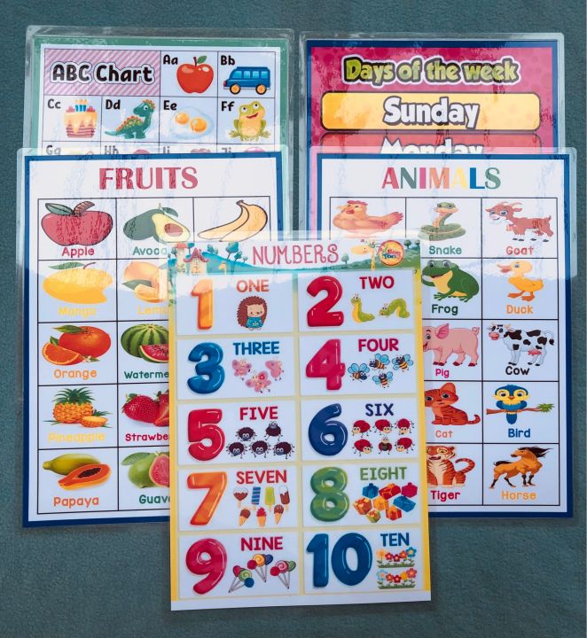 Educational CHARTS LAMINATED A4 | Lazada PH