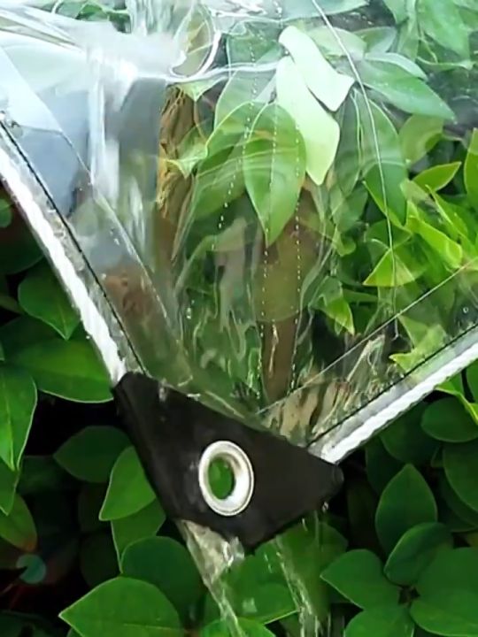 🔥Quality first🔥Anti-16 typhoon transparent clear trapal transparent ...