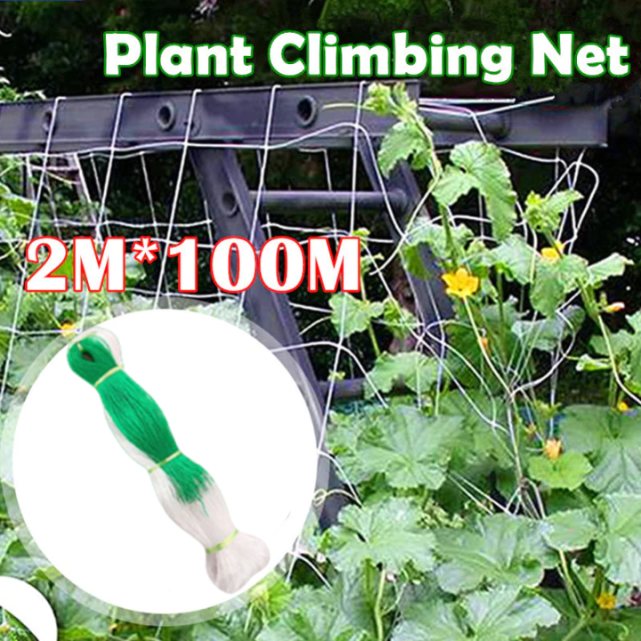 2M X 100M Jaring Tanaman Rambat Jaring Panjat Tanaman Pertanian ...