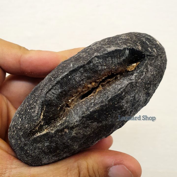 HAISOM TUBOSOM HITAM SUPER KERING ( 1 KILO JADI 4-5 KG) BERKUALITAS ...