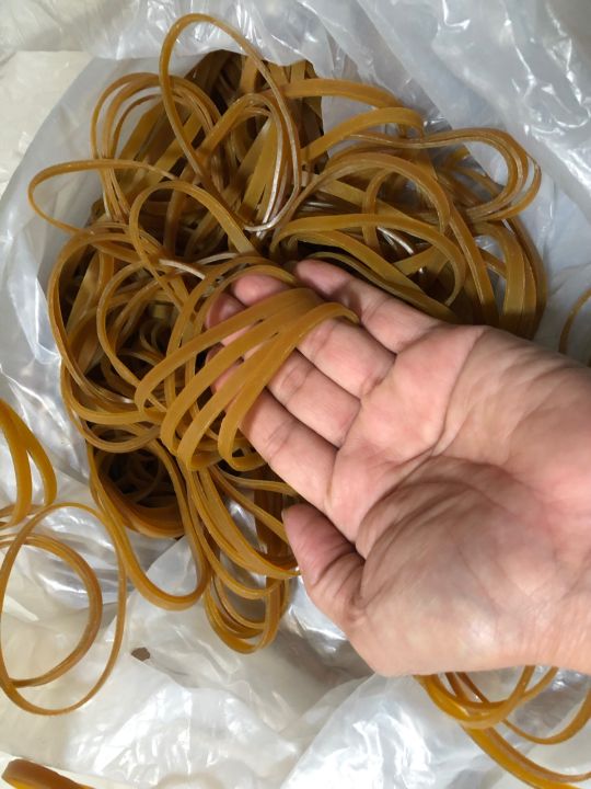 หนังยางเส้นใหญ่ รัดของไปรษณีย์ รัดเอกสาร วงใหญ่หนา เนื้อยางเหนียว ...