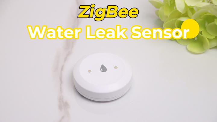 SMATRUL Tuya Zigbee Sensor kebocoran air pengesan banjir Smartlife ...