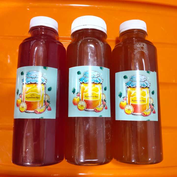 KOMBUCHA MINUMAN PROBIOTIK TEH FERMENTASI 250ML HOME MADE 100% HALAL ...