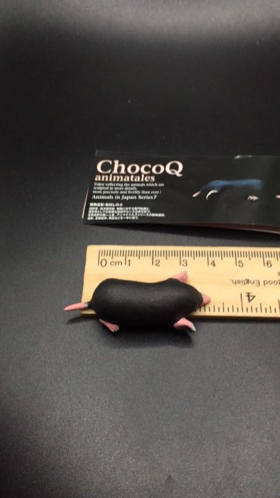 ฟิกเกอร์ โมเดล สัตว์ จิ๋ว ตุ่น น่ารัก Kaiyodo Animatales Chocoq Choco Q ...