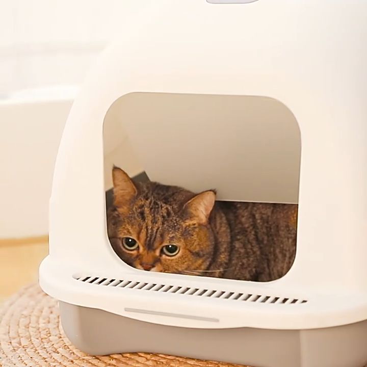 MEOWWOWP Litter box Kucing toilet bak pasir kotak kotoran kucing pup ...