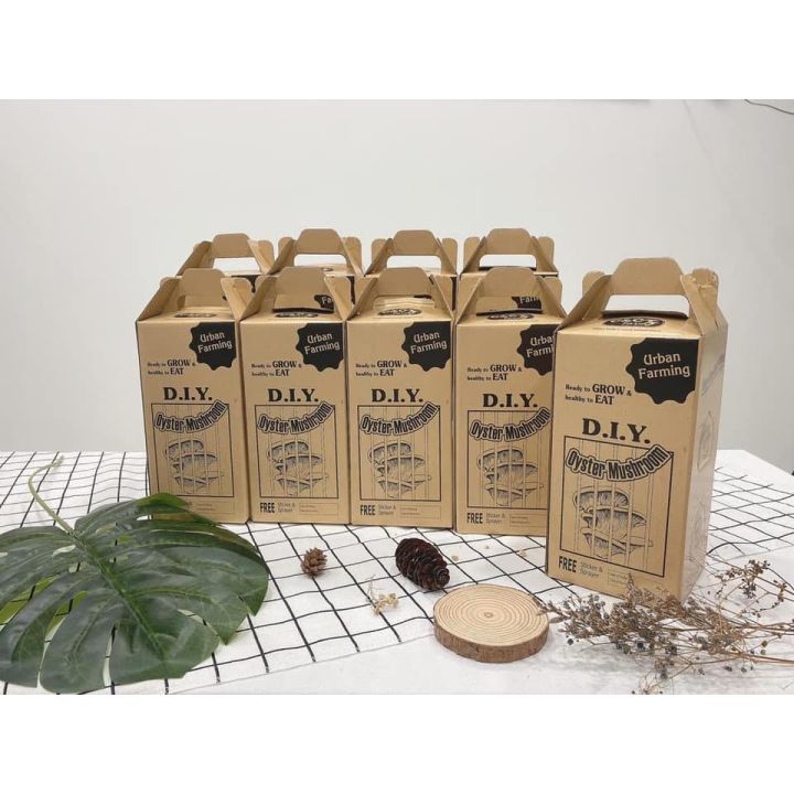 Ready Stock Mushroom Box / Mushroom Kit / 蘑菇盒 / DIY Mushroom / Cendawan ...