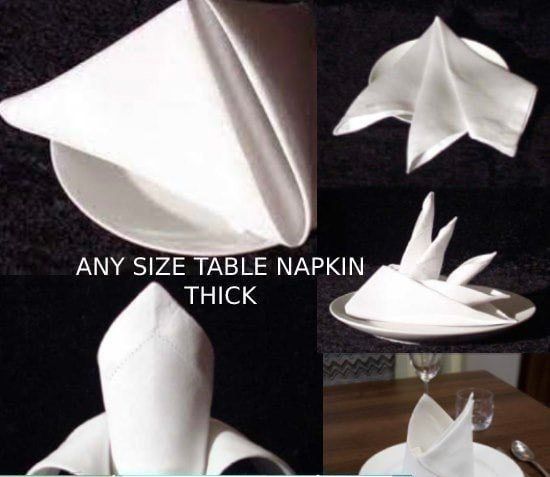 Table Napkins Katrina cloth For Restaurant School Projects/Catering ...