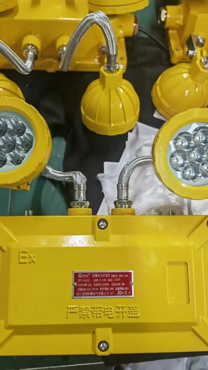 Zhejiang Guanrong Explosion-Proof Emergency Lighting Safety Export Logo ...
