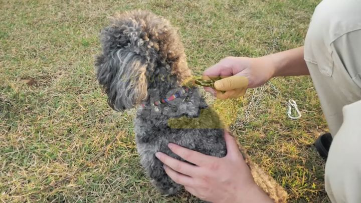 3MM Thick Kadena Galvanized Iron Iron Chain Heavy Duty Door Lock Chain ...