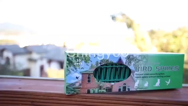 Anti Bird Spike Animals Repellent Fence Rail Roof Spikes Halau Kucing ...