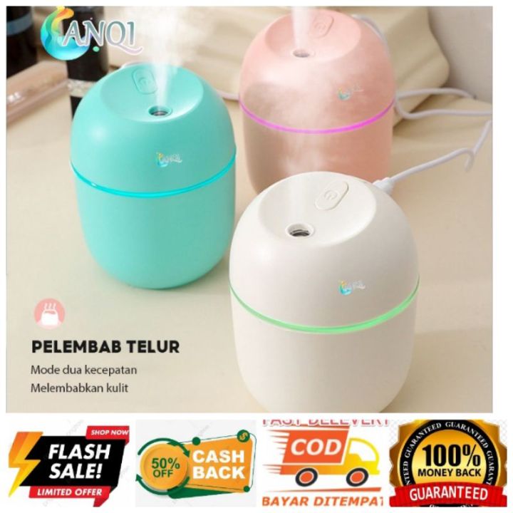 Aroma Terapi Humidifier Diffuser Model Telur Humidifer free oil ...