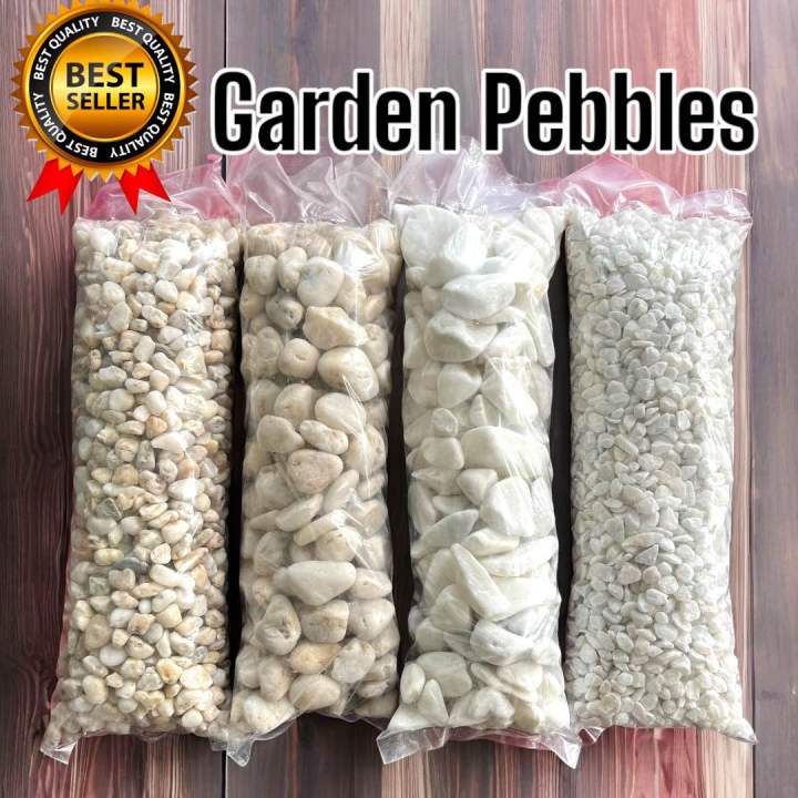 Garden Pebbles | 1kg pack | Stone Pebbles | White Pebbles . Great for Plant decoration ...