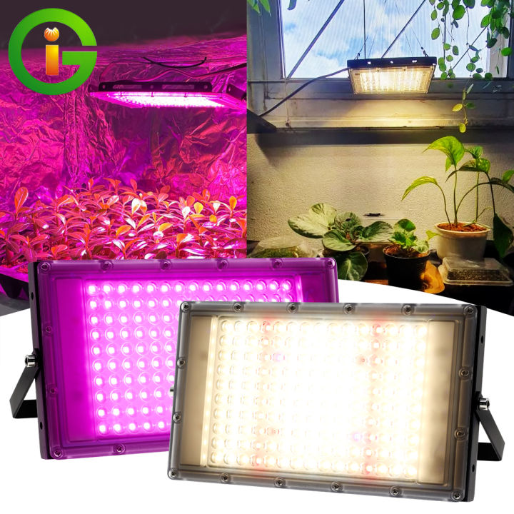 Full Spectrum LED Grow Light 50W 100W Imitated Sunlight Phyto Lamp For ...