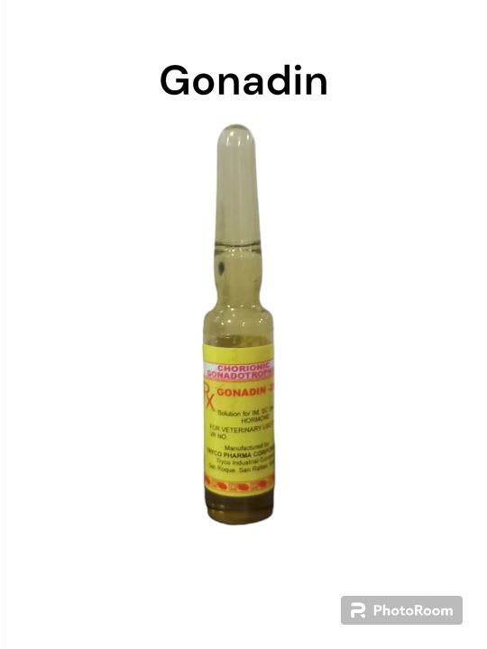 GONADIN 250 | CHORIONIC GONADOTROPHIN AND OESTRADIOL BENZOATE | FOR ...