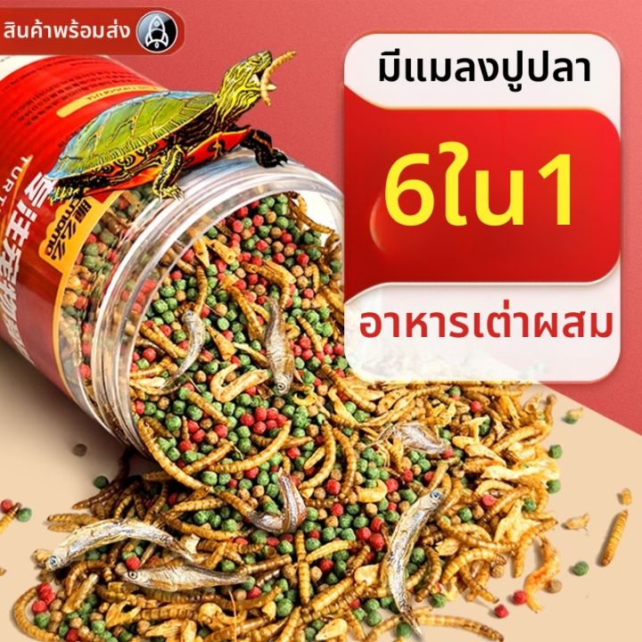Besee | อาหารเต่าสำหรับหลายวัตถุประสงค์ | Lazada.co.th