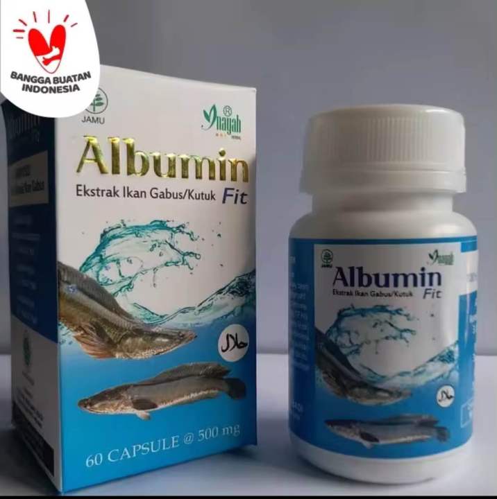 Albumin Fit - Ekstrak Ikan Gabus - 60 kapsul | Lazada Indonesia